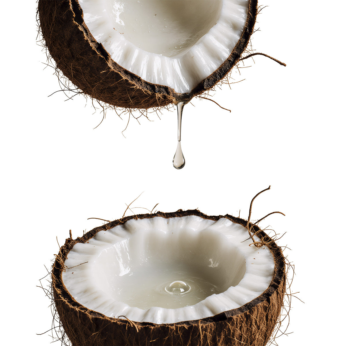 Royal Coconut Body Oil – Jafra Cosmetics International